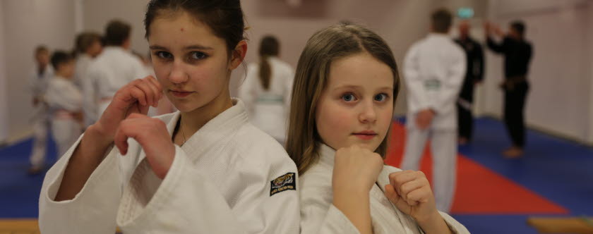 Kiritsu Jujutsu Bara - Svedala kommun